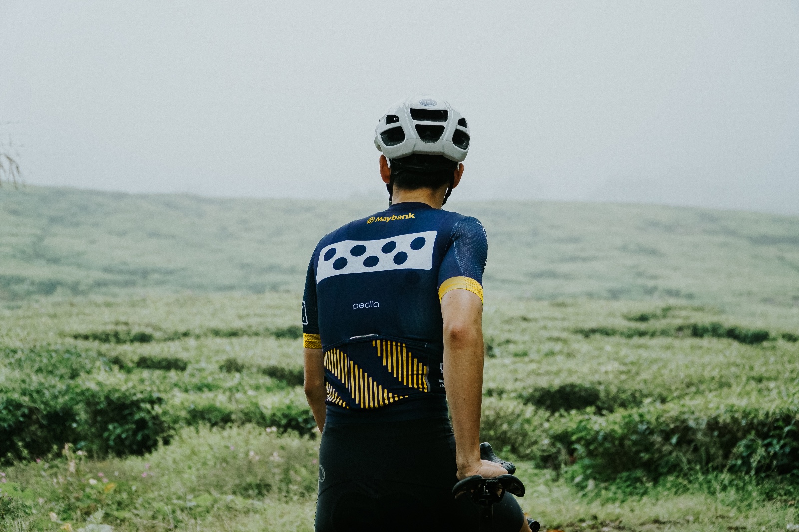 il Festino – No Race Like Us • Home